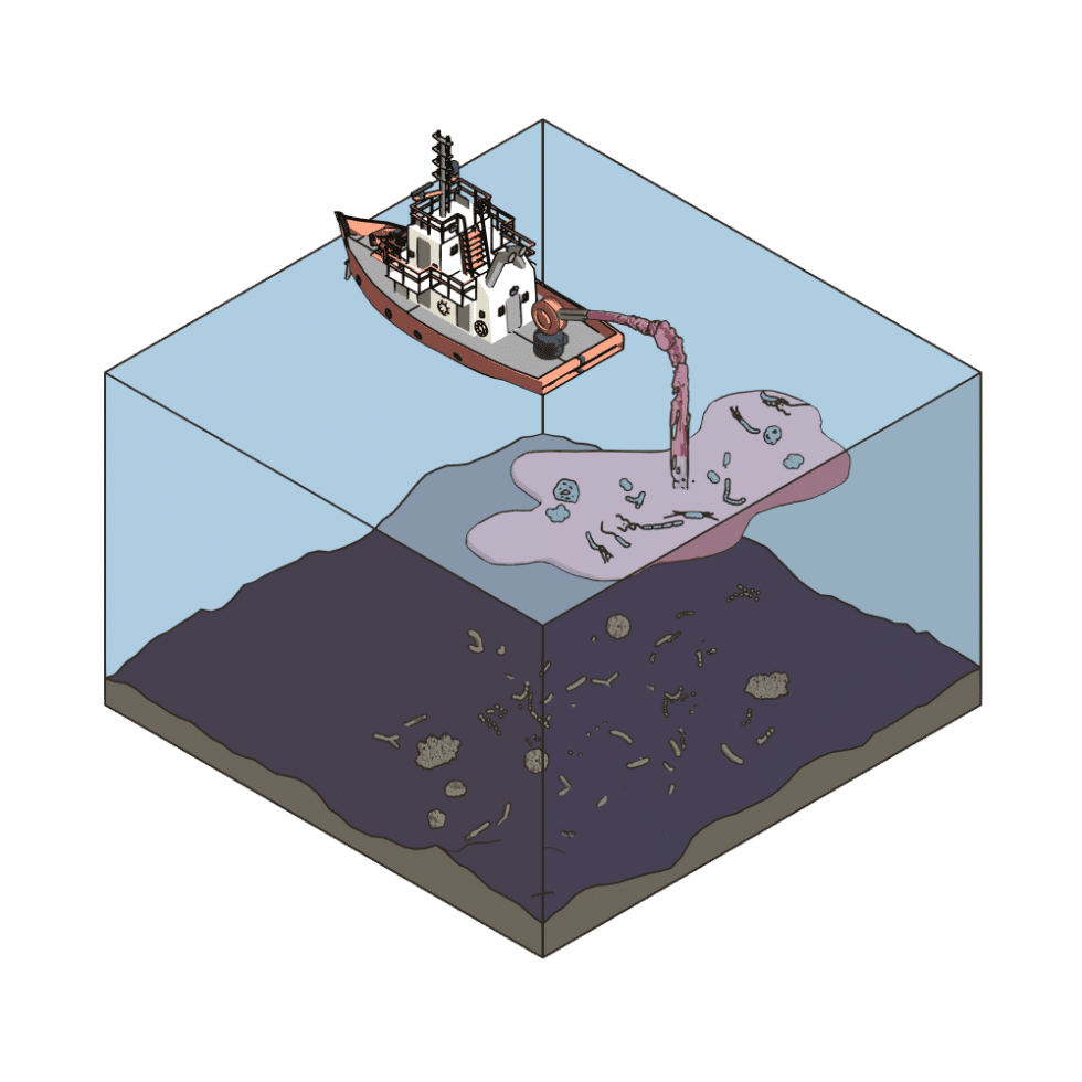 Fertilización oceánica - Monitor de geoingeniería